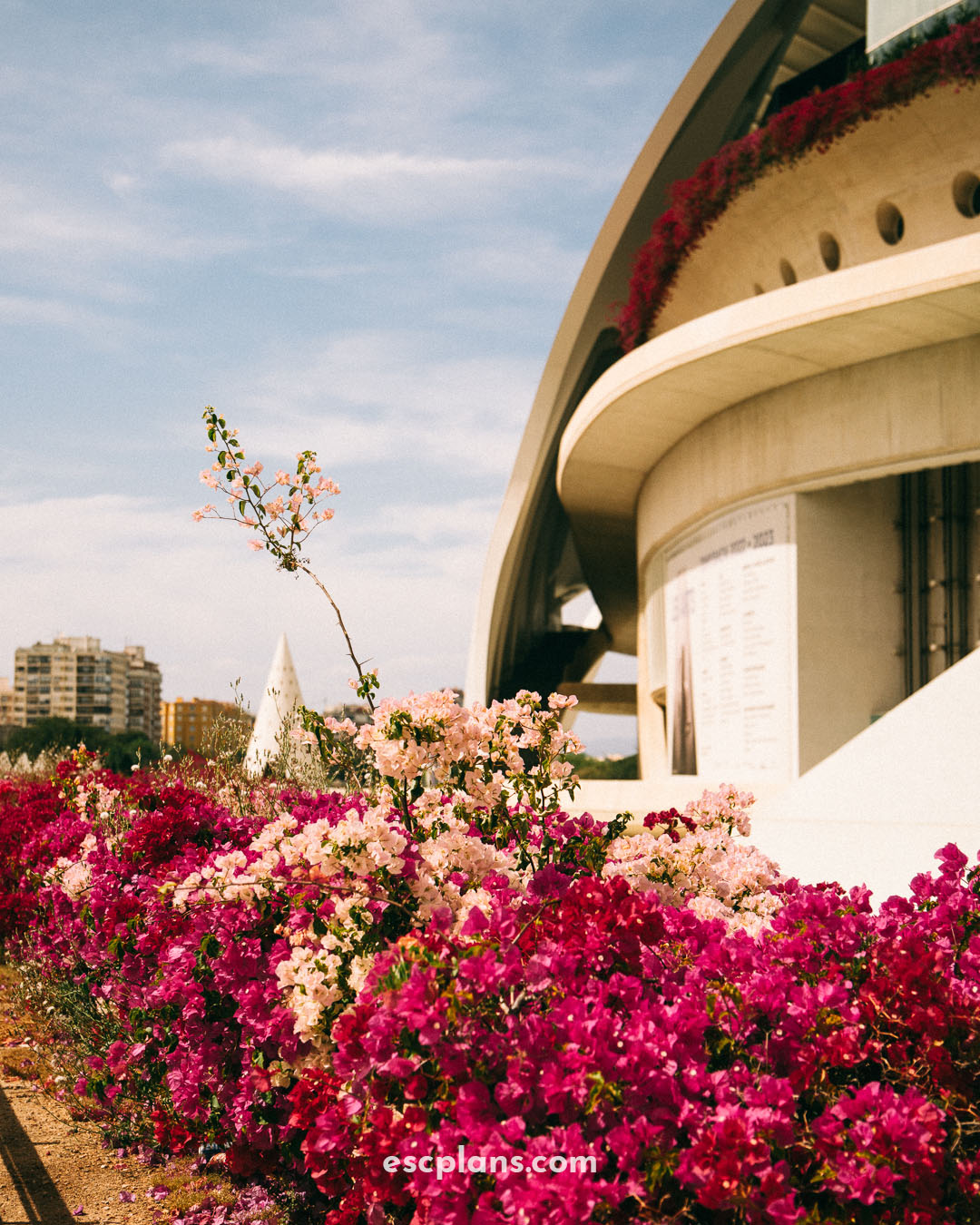 The 10 Best Things To Do In Valencia | EscPlans